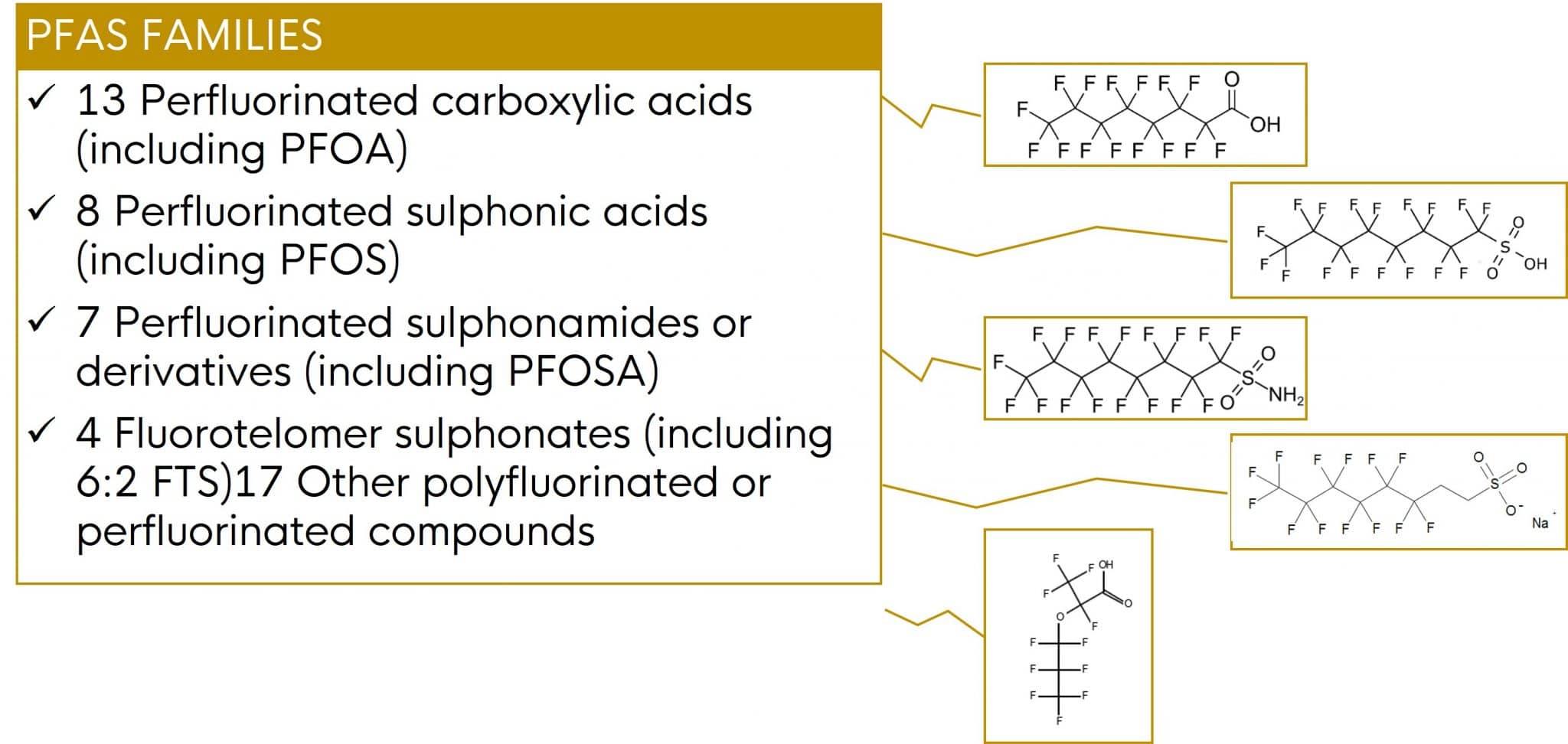Participation in the PFAS Technical Day with AXELERA.